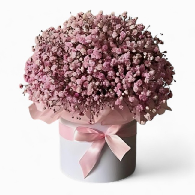 Sweet Pink Baby’s Breath Flower Box - Zahra Al Doula